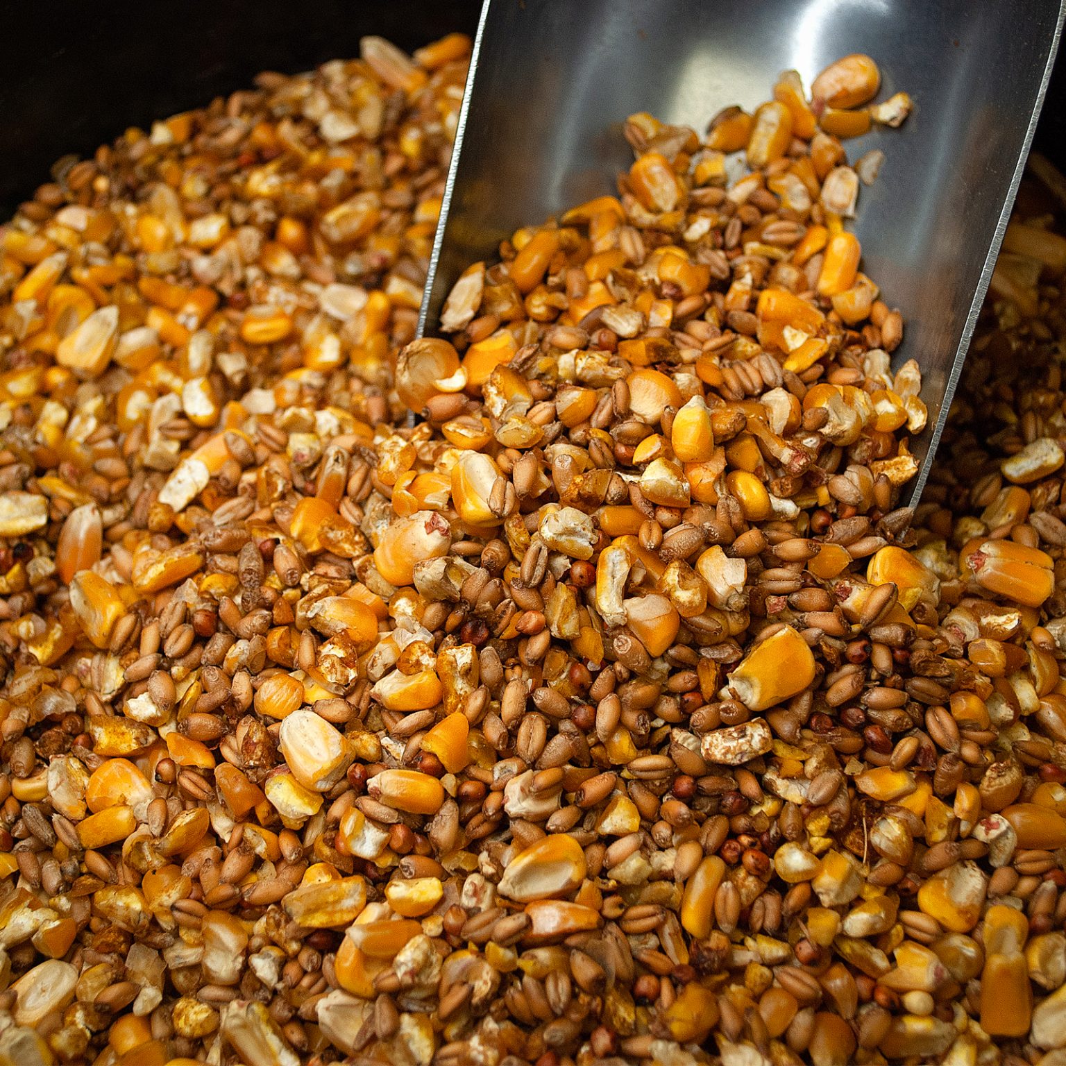 Carolina Pride Crazy 8 Scratch Grains - Coker Feed Mill