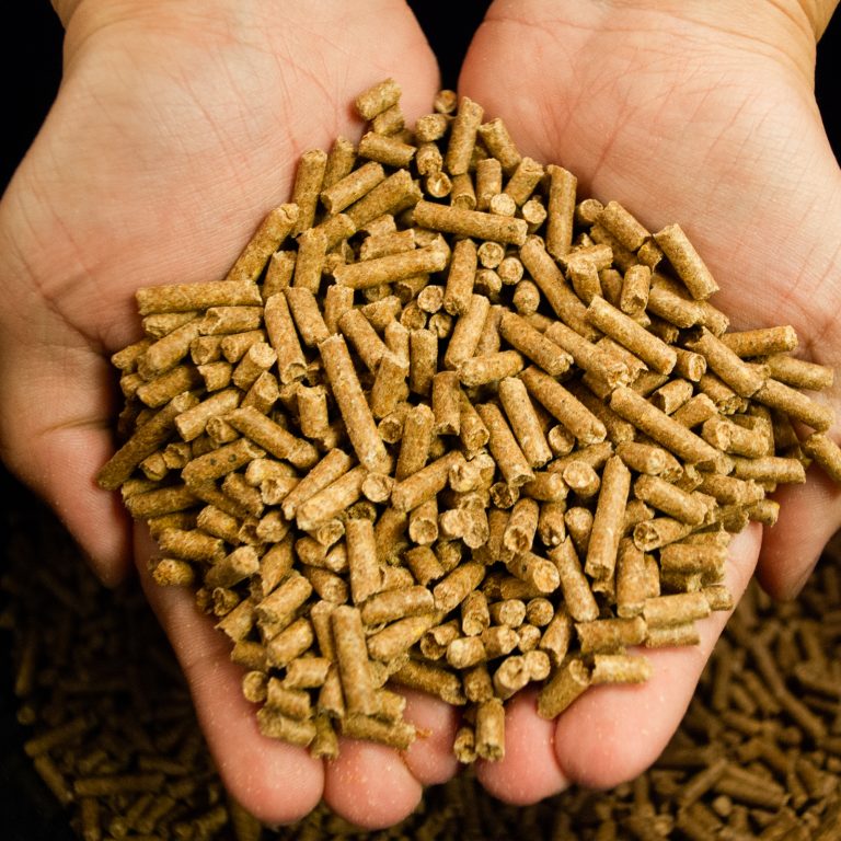 Amber Grains Classic 12-5 Pellet - Coker Feed Mill