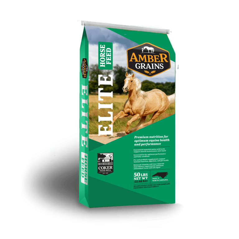 Amber Grains Elite Super Senior - Coker Feed Mill