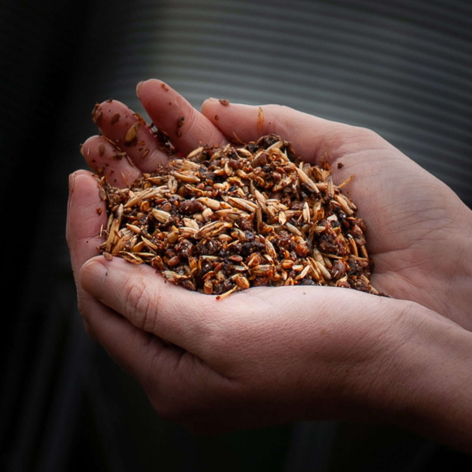 Amber Grains Elite Front Runner - Coker Feed Mill