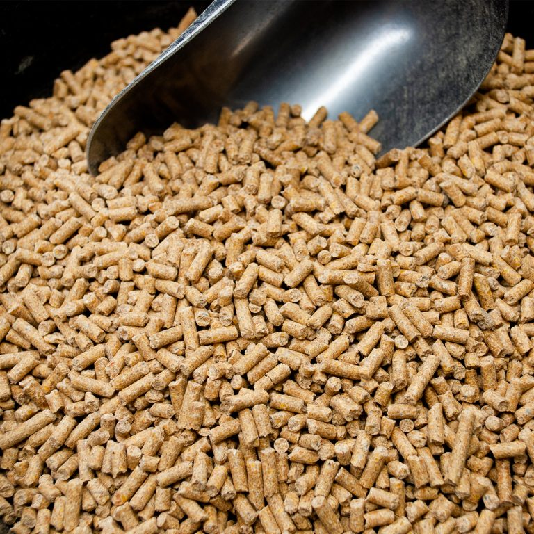 Carolina Pride 17% Layer Pellets - Coker Feed Mill