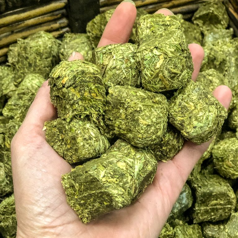 Carolina Pride Soybean Hull Pellets - Coker Feed Mill