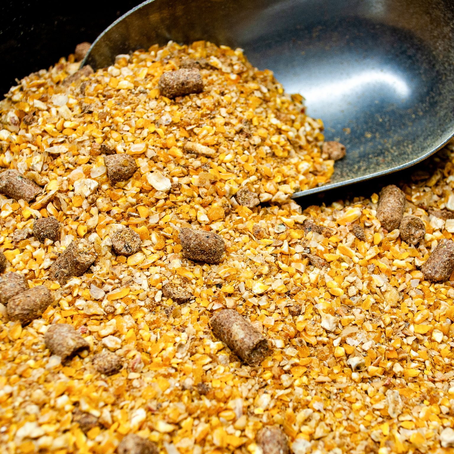 Swine – Coker Feed Mill