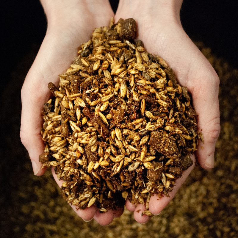 Beet Pulp Shreds – Coker Feed Mill