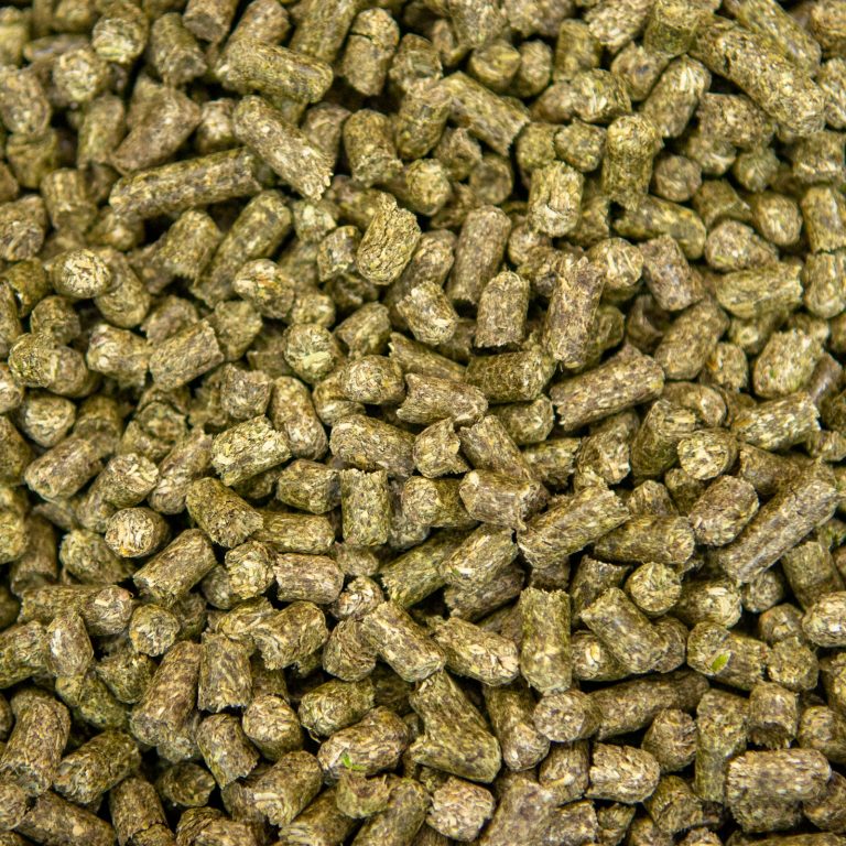 Grains, Forages, and Seeds Archives - Coker Feed Mill