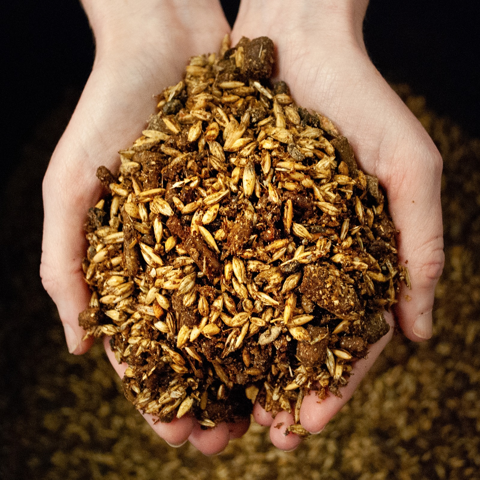 Let’s Talk About Feed Freshness – Coker Feed Mill